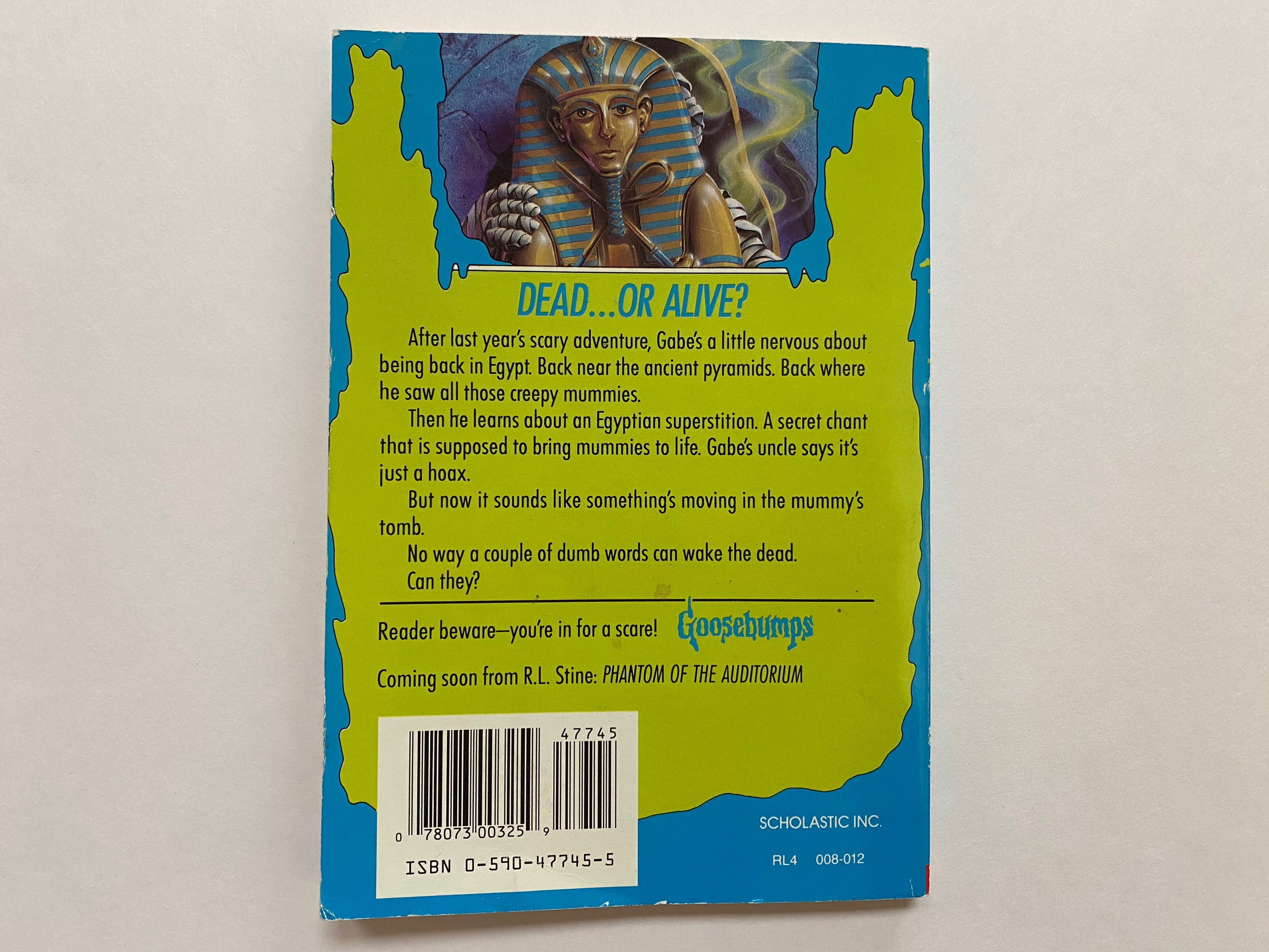 Goosebumps 23 Return of the Mummy Paperback Book by RL Stine - Etsy