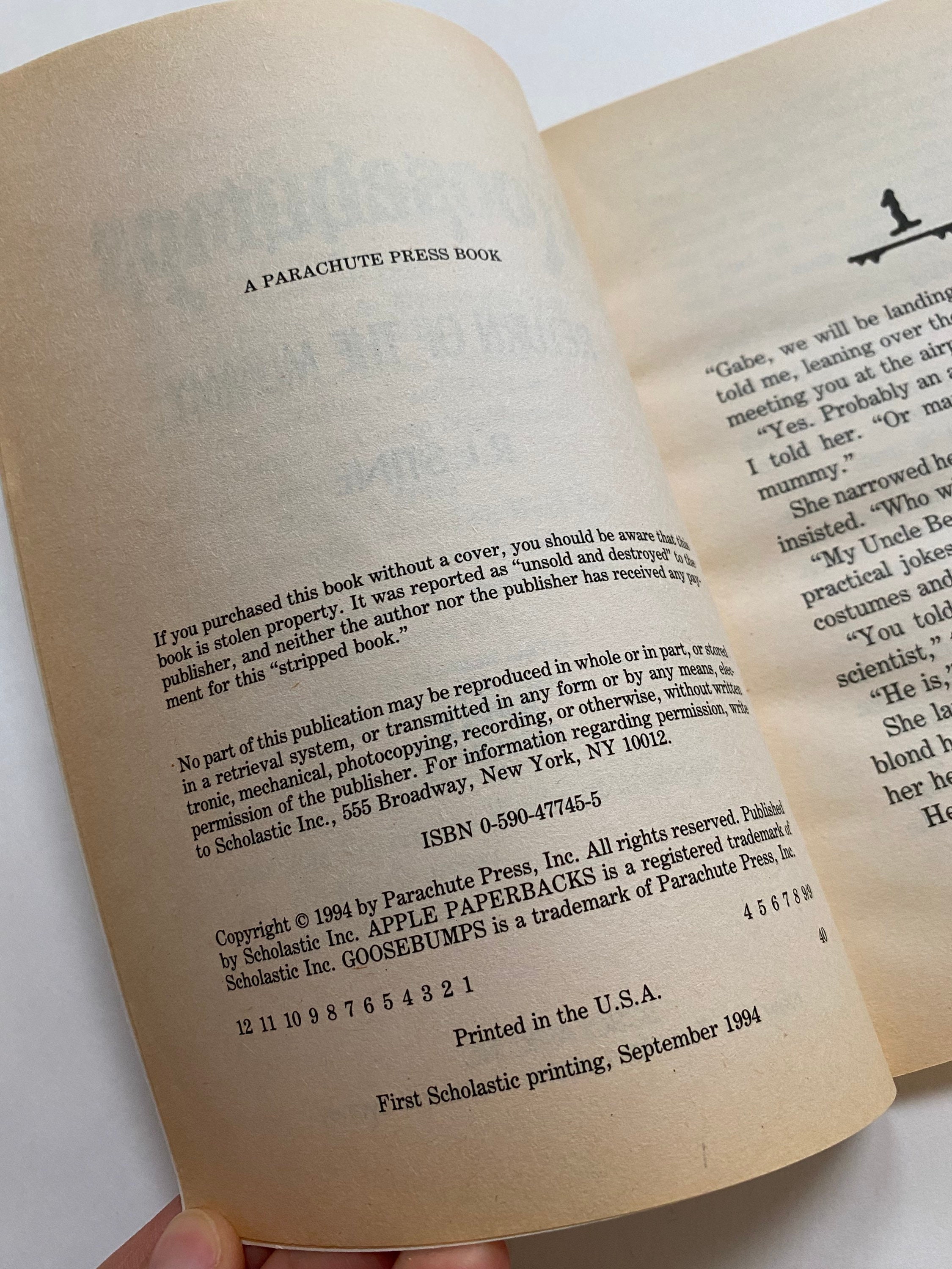 Goosebumps 23 Return of the Mummy Paperback Book by RL Stine - Etsy