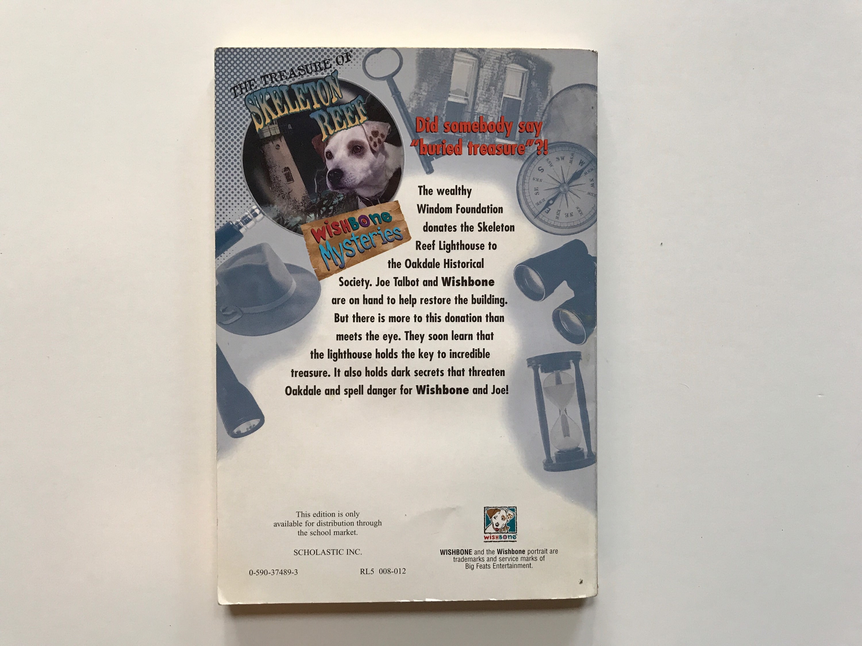 Wishbone Mysteries 1 The Treasure of Skeleton Reef Paperback - Etsy.de