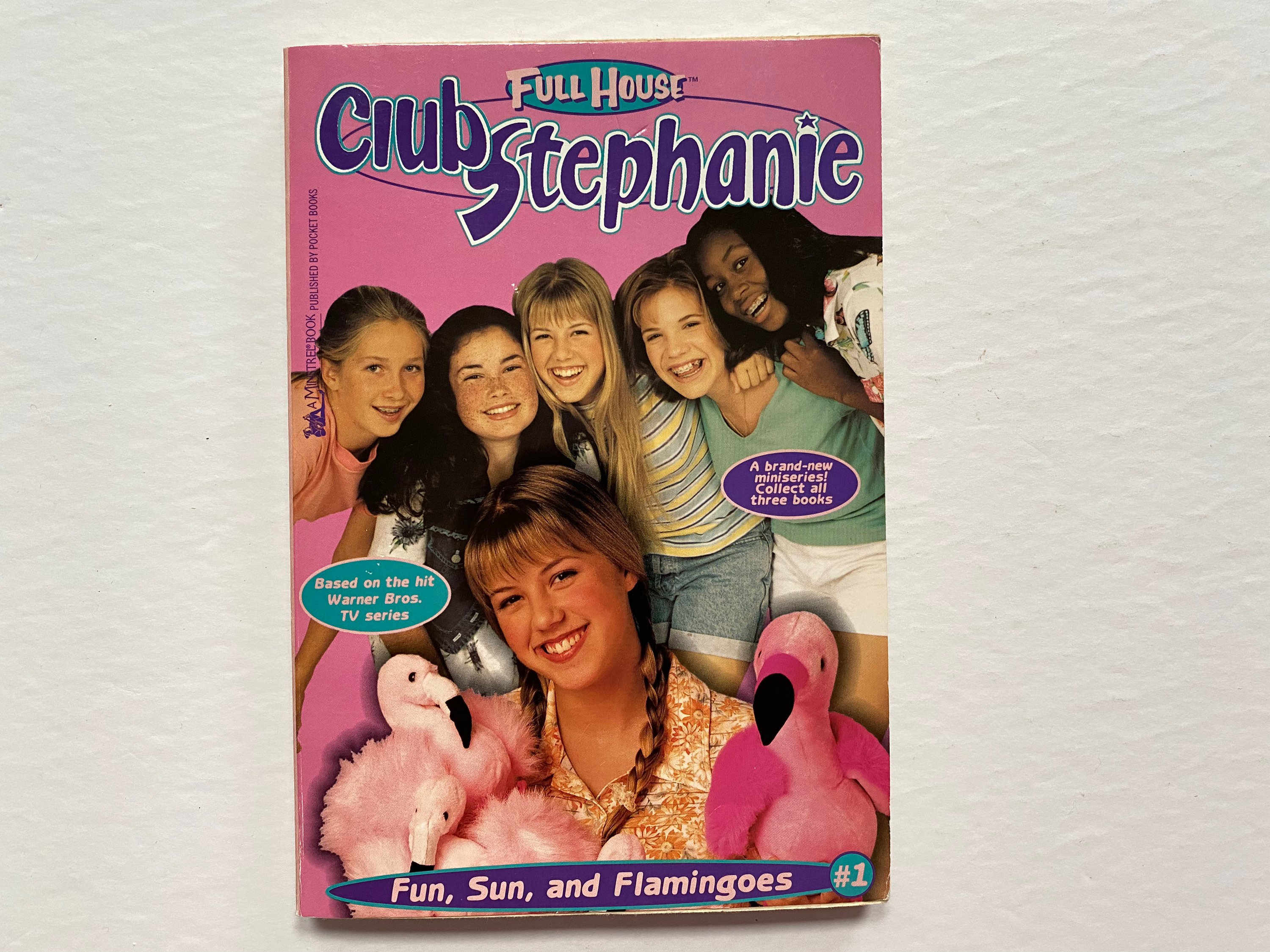 Full House Stephanie Season 1