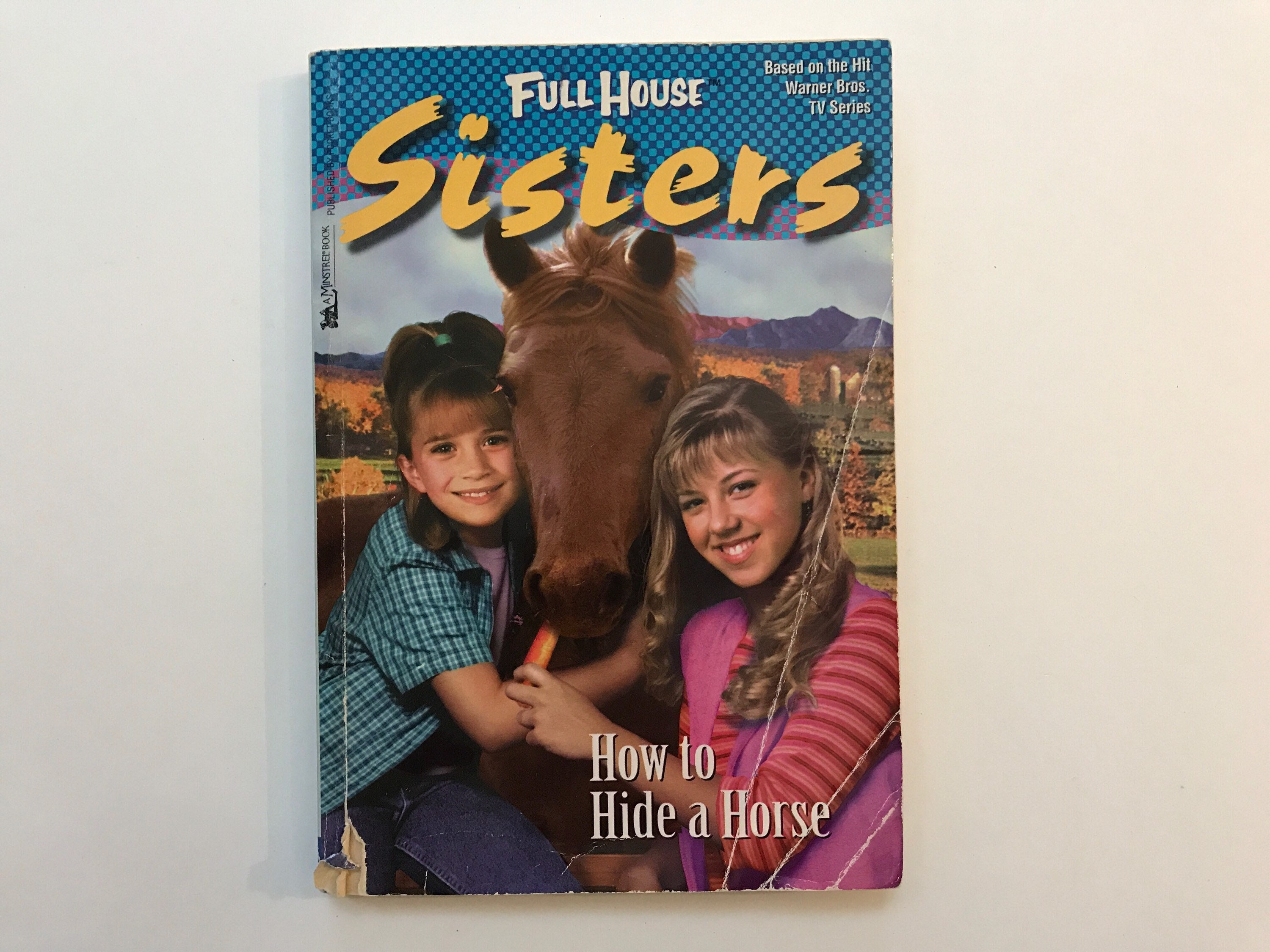 Full House Sisters How to Hide a Horse Paperback Chapter Book - Etsy