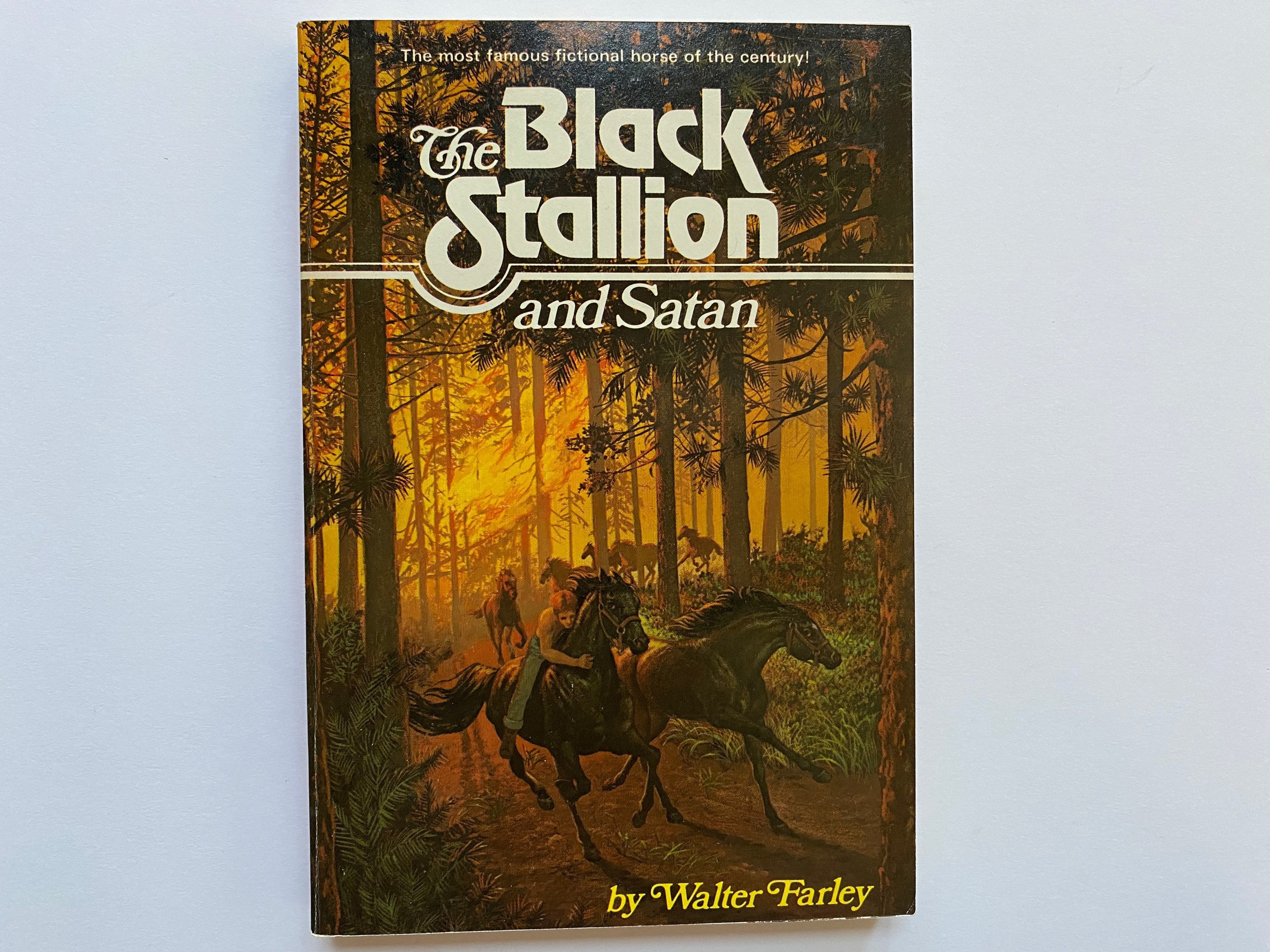 Black Stallion And Satan
