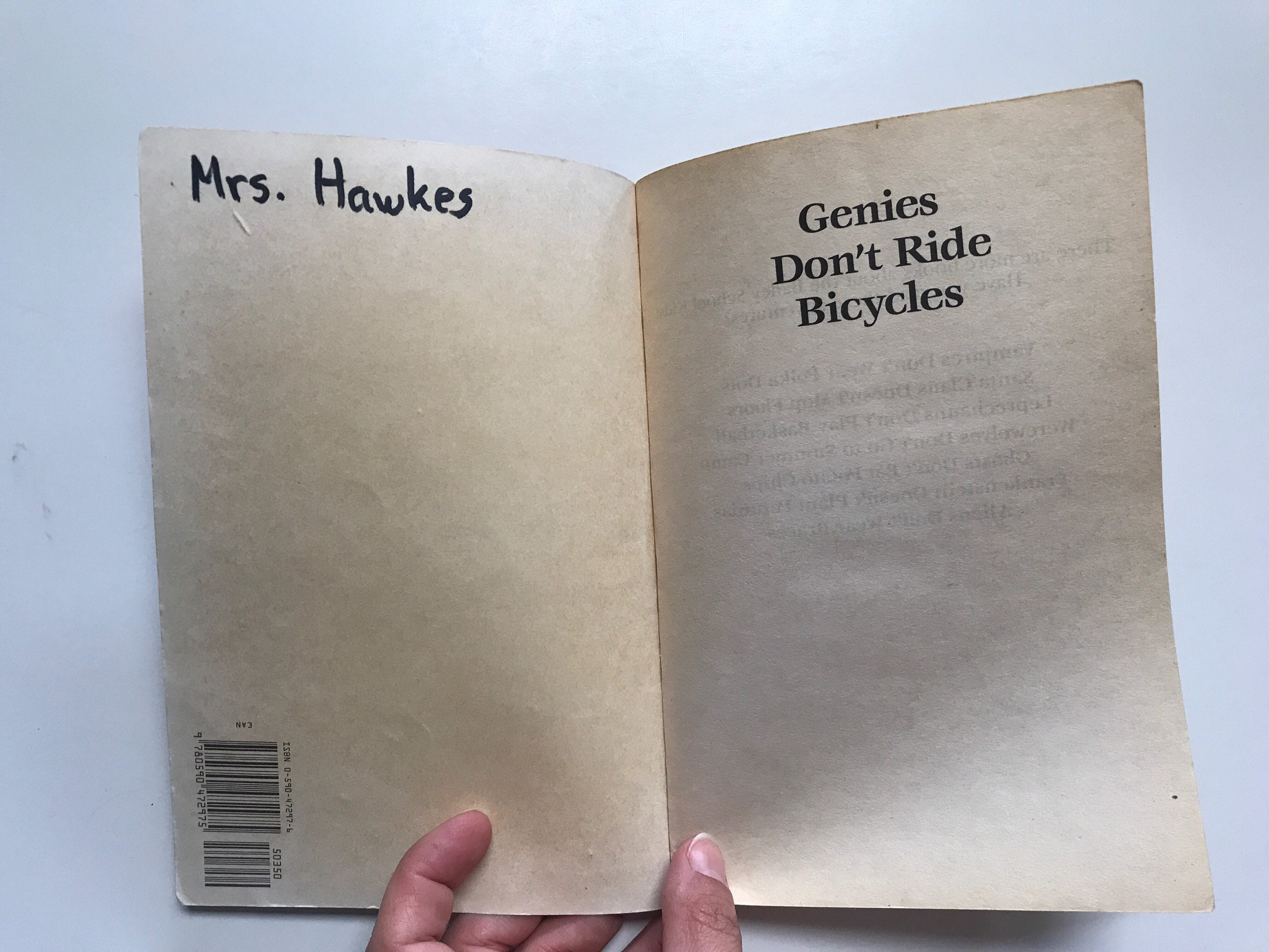 Bailey School Kids 8 Genies Dont Ride Bicycles Paperback - Etsy