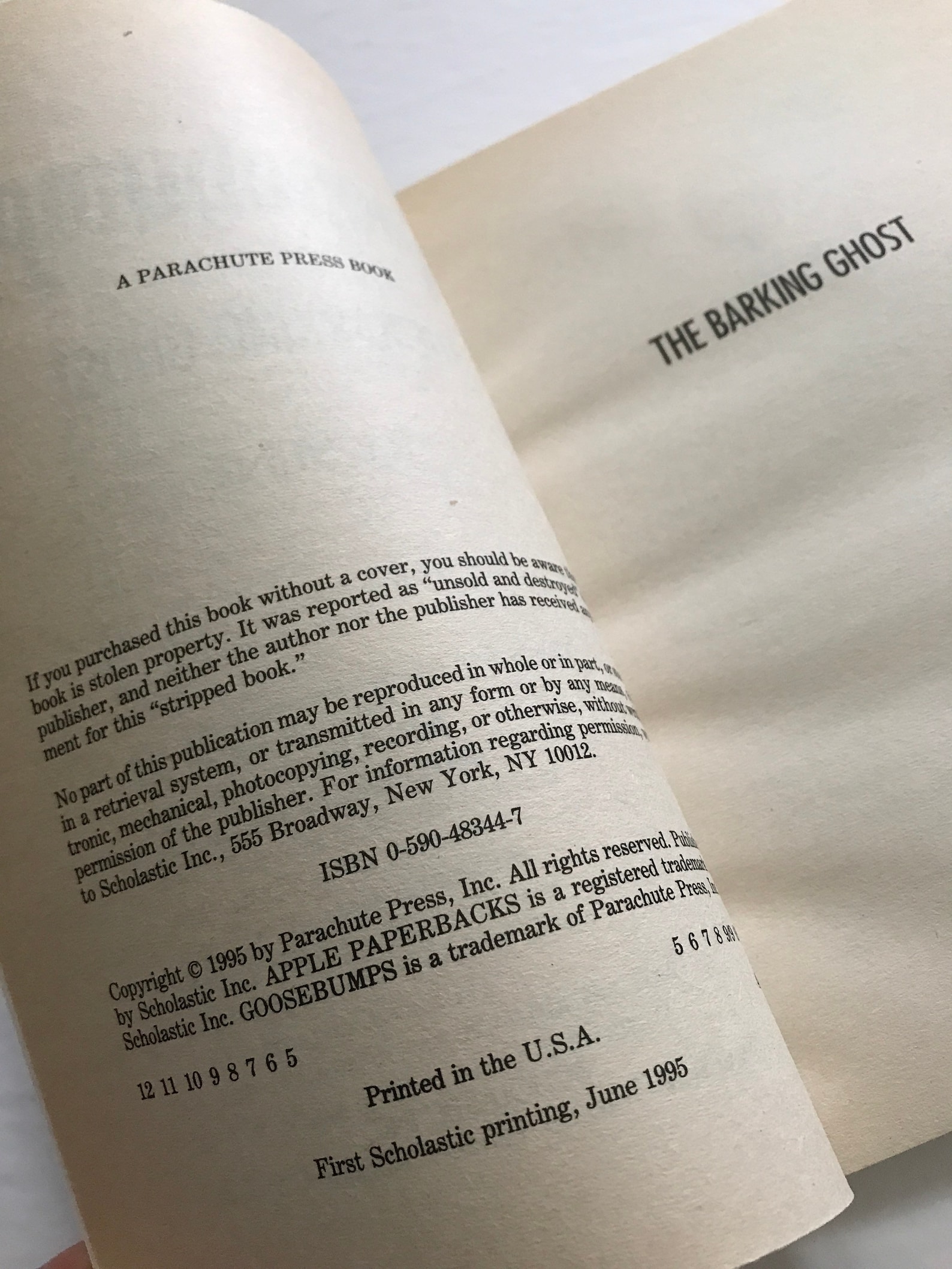 Goosebumps 32 the Barking Ghost Paperback Book by RL Stine - Etsy