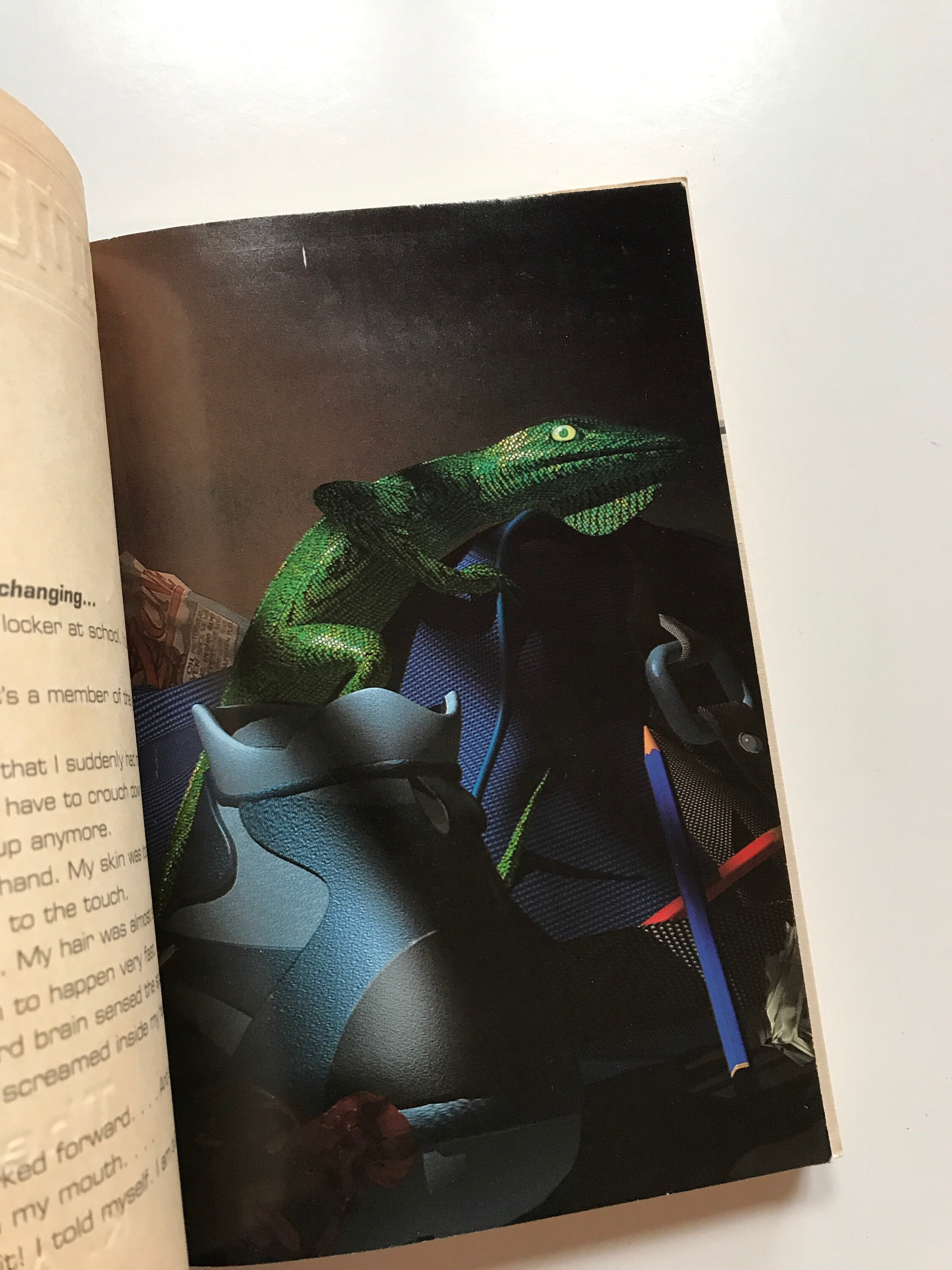 Animorphs 1 The Invasion Paperback Chapter Book by KA - Etsy.de