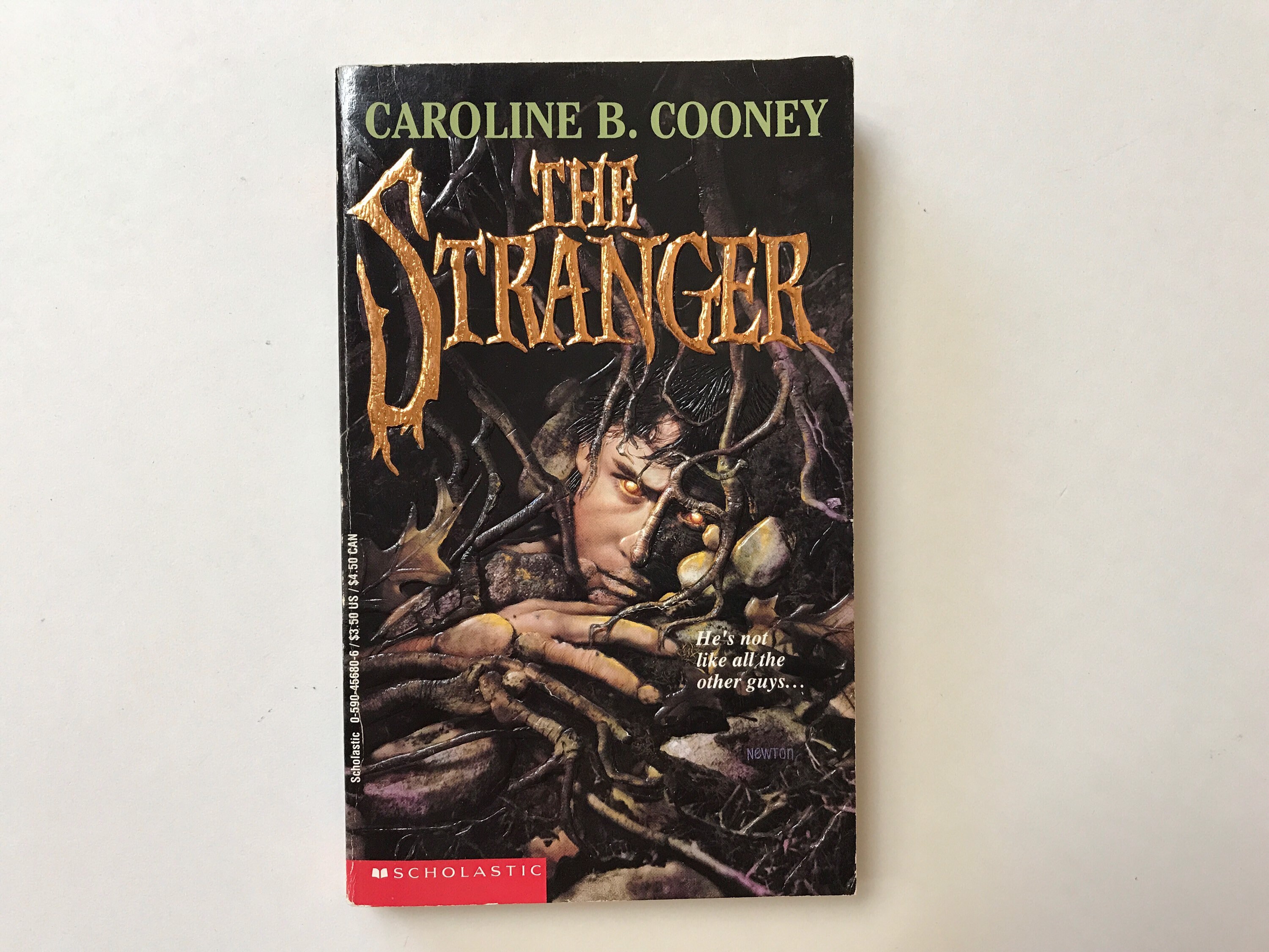 1993 the Stranger Paperback Chapter Book / Caroline B Cooney / - Etsy UK