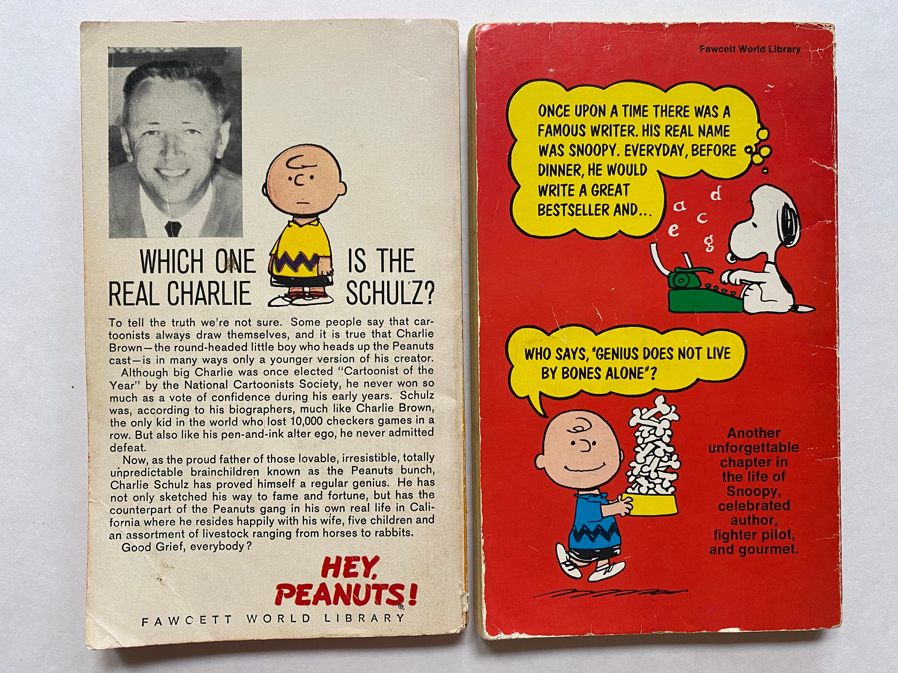 Snoopy Peanuts Charlie Brown Books Pair by Charles M Schulz - Etsy