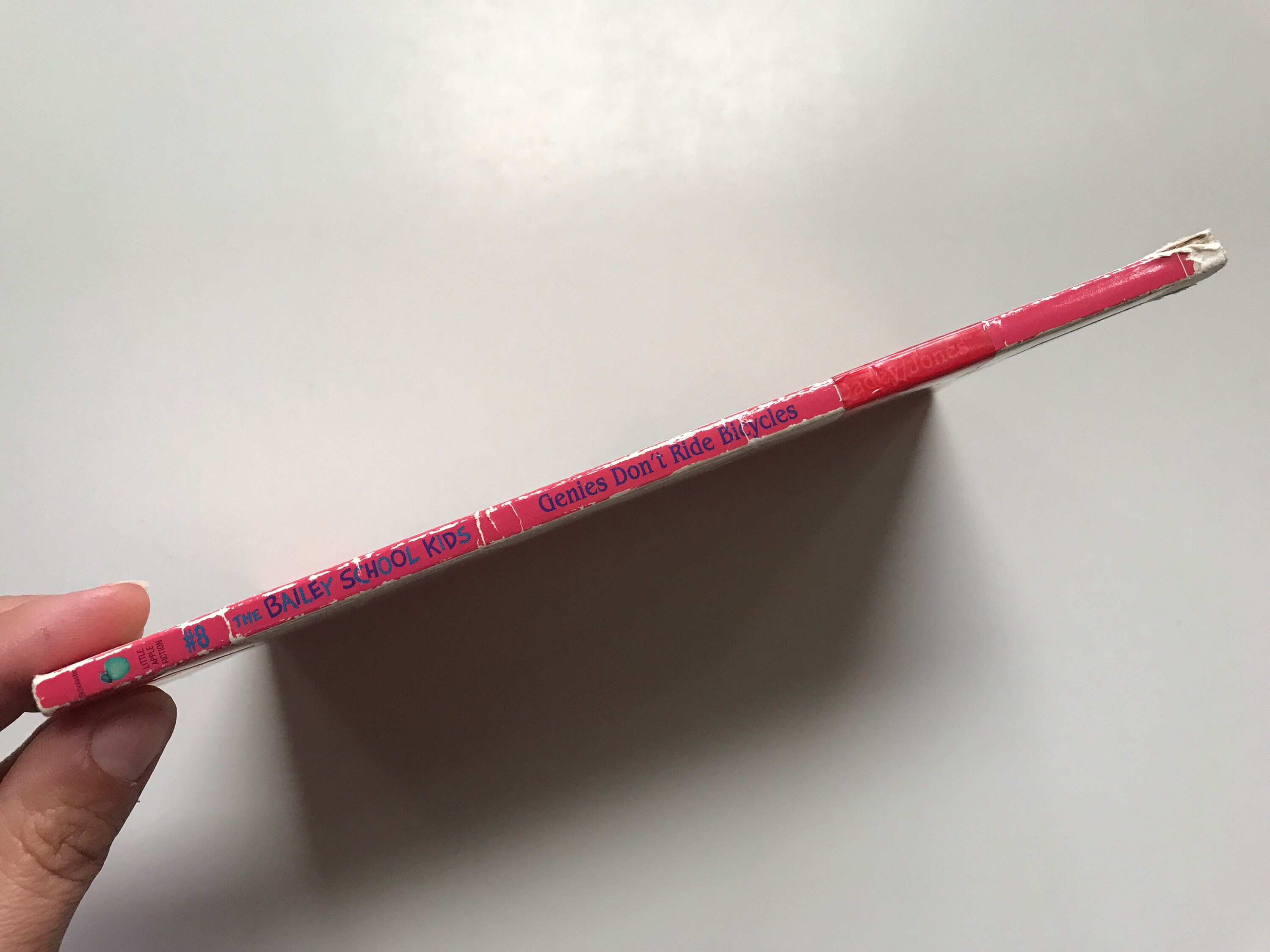 Bailey School Kids 8 Genies Dont Ride Bicycles Paperback - Etsy