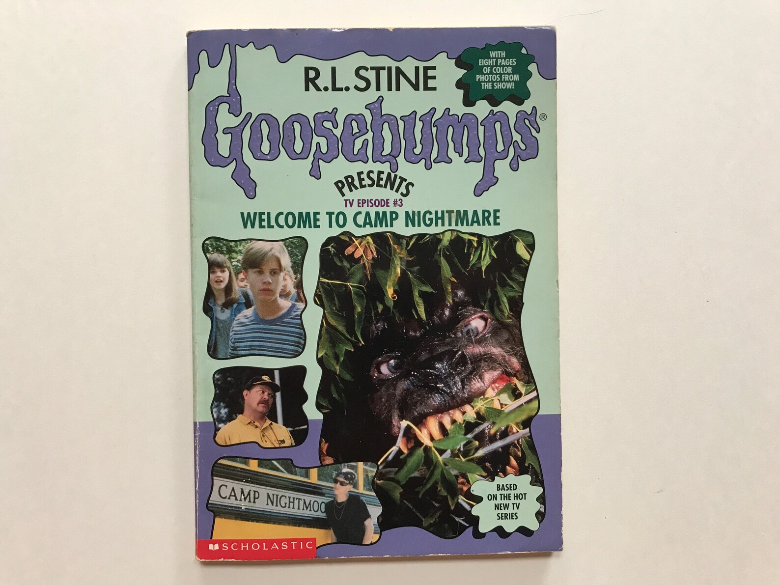 Goosebumps Presents TV Episode 3 Welcome to Camp Nightmare Paperback ...