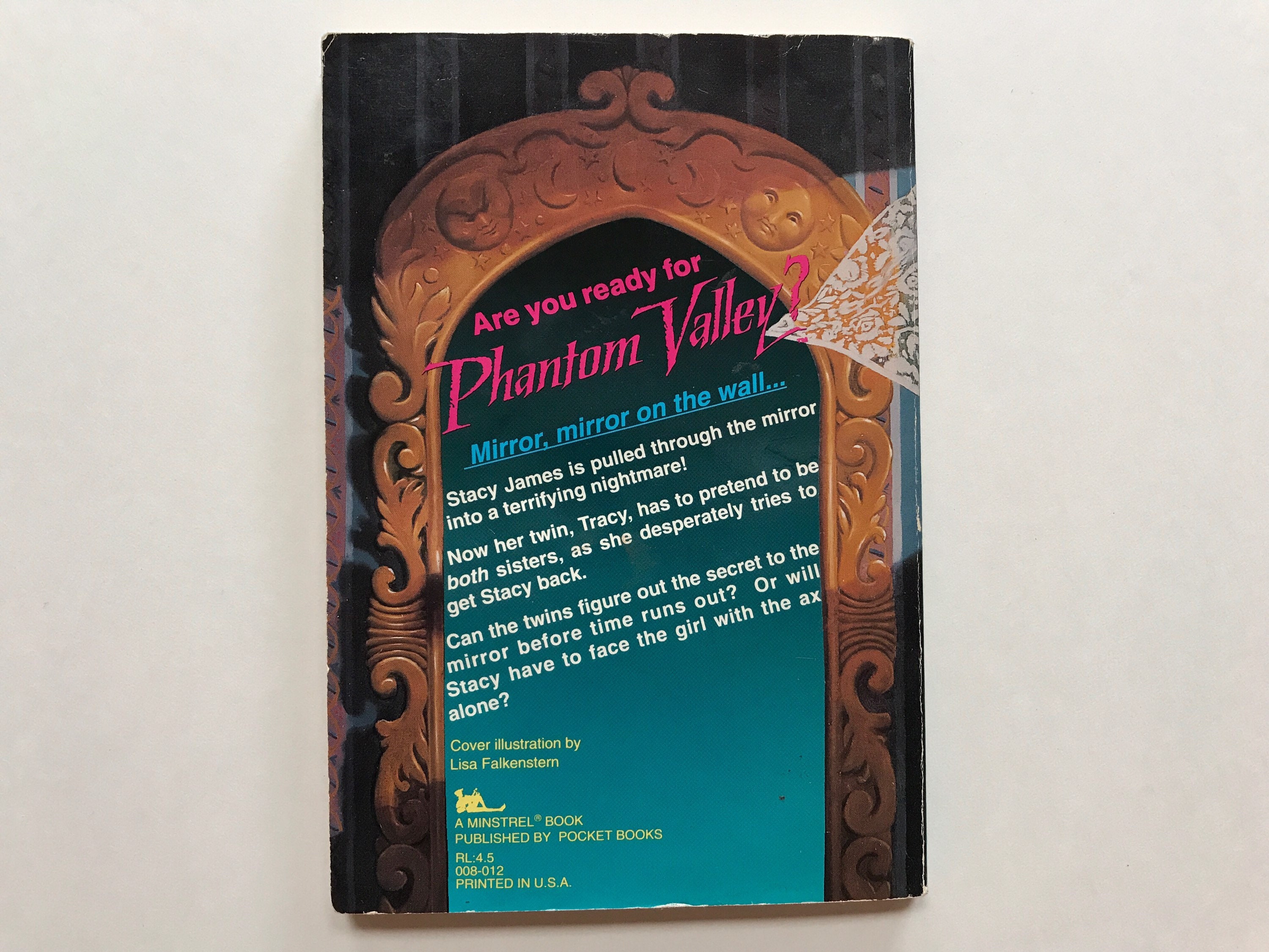 1992 Phantom Valley Paperback Chapter Book Stranger in the - Etsy UK