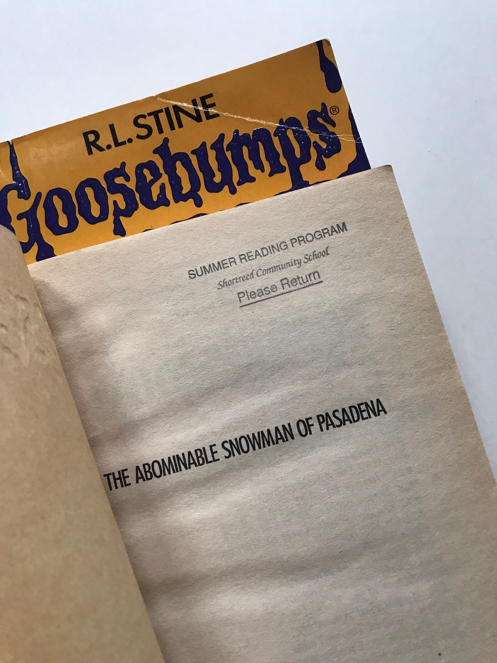Goosebumps LOT Paperback Book by RL Stine for Kids Teens Young Adults ...