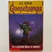 Goosebumps LOT Paperback Book by RL Stine for Kids Teens Young Adults ...