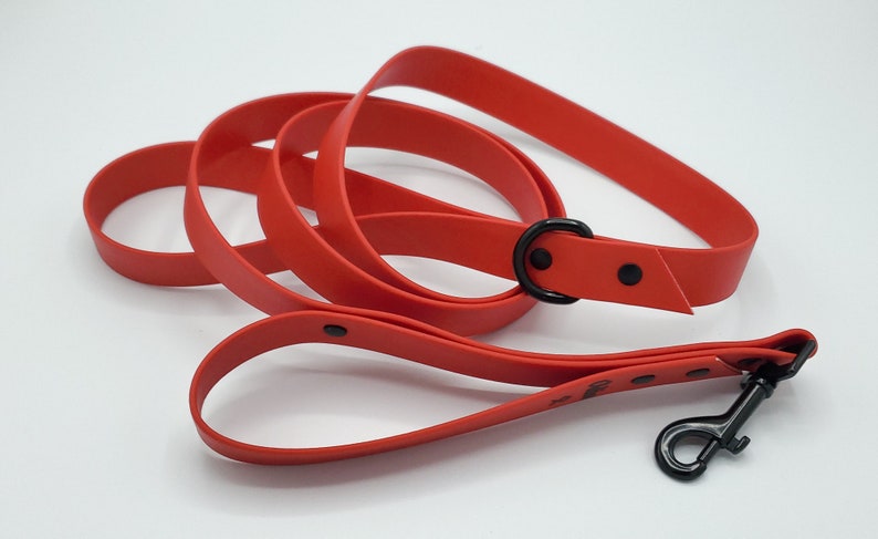 Biothane Leash 1 With Traffic Handle From 5 Feet to 7 - Etsy