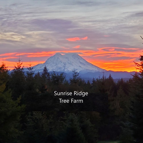 SunriseRidgeTreeFarm - Etsy