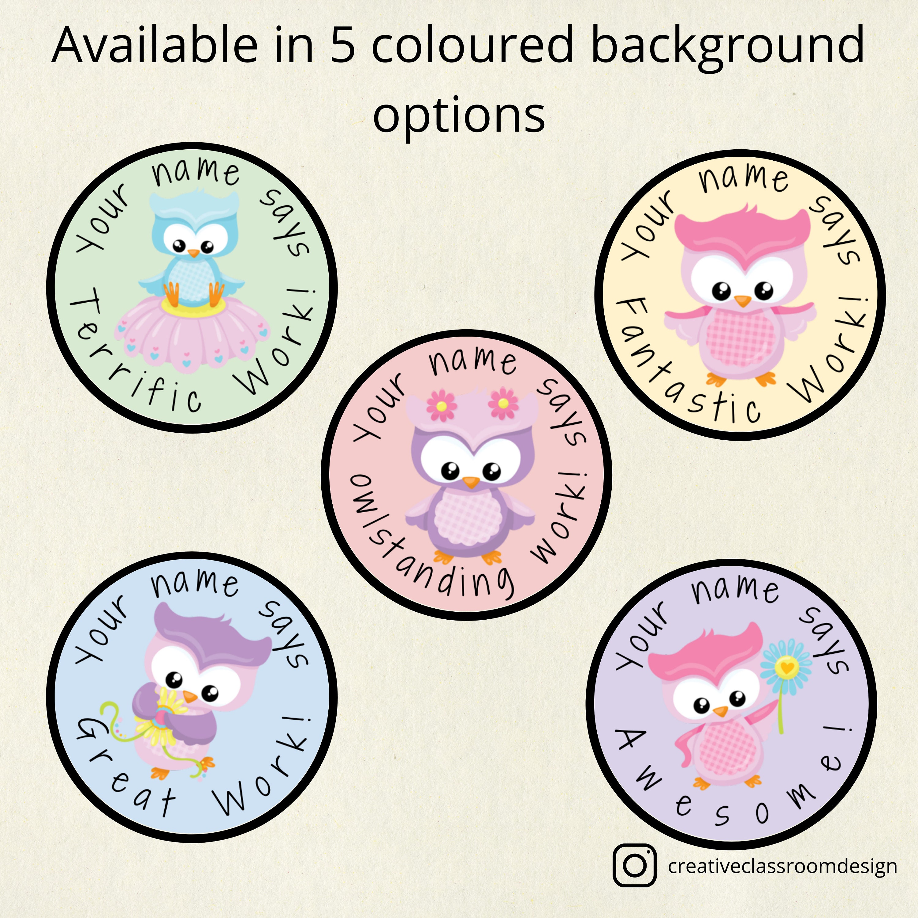 Owl Stickers Personalised Stickers Teacher Stickers | Etsy