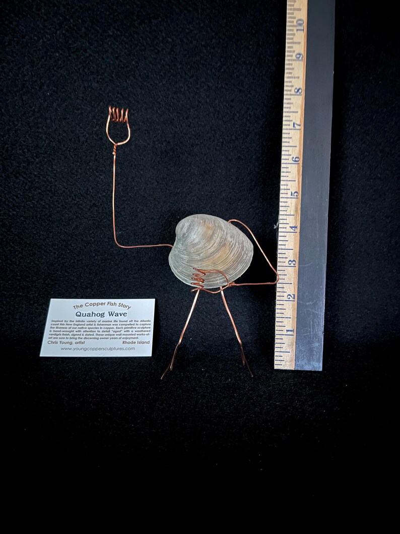 Quahog Wave !priority Shipping Included for This Very Unique and Fun ...