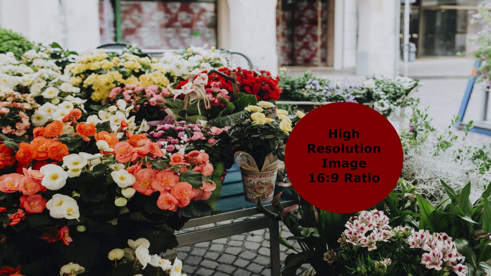 Beautiful Flower Zoom Background, Virtual Background for Zoom ...