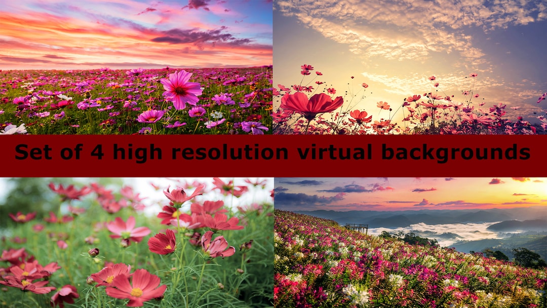 Set of 4 Beautiful Flower Field Zoom Background, Virtual Background for ...