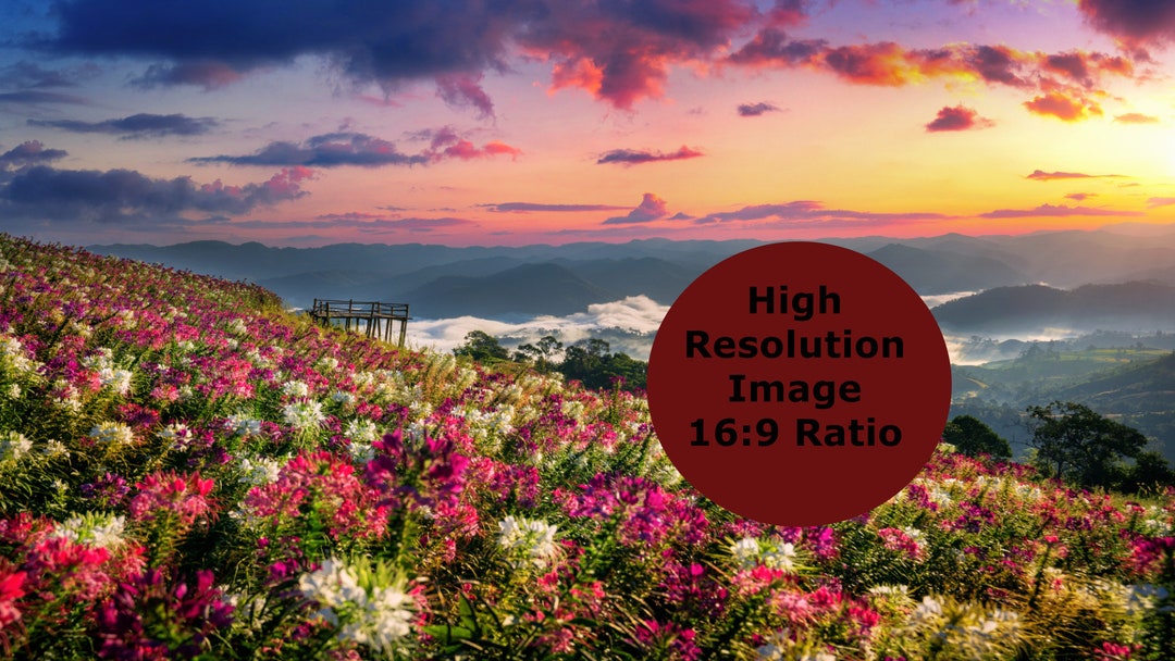 Virtual Background for Zoom, Flower Field Zoom Background, Microsoft ...