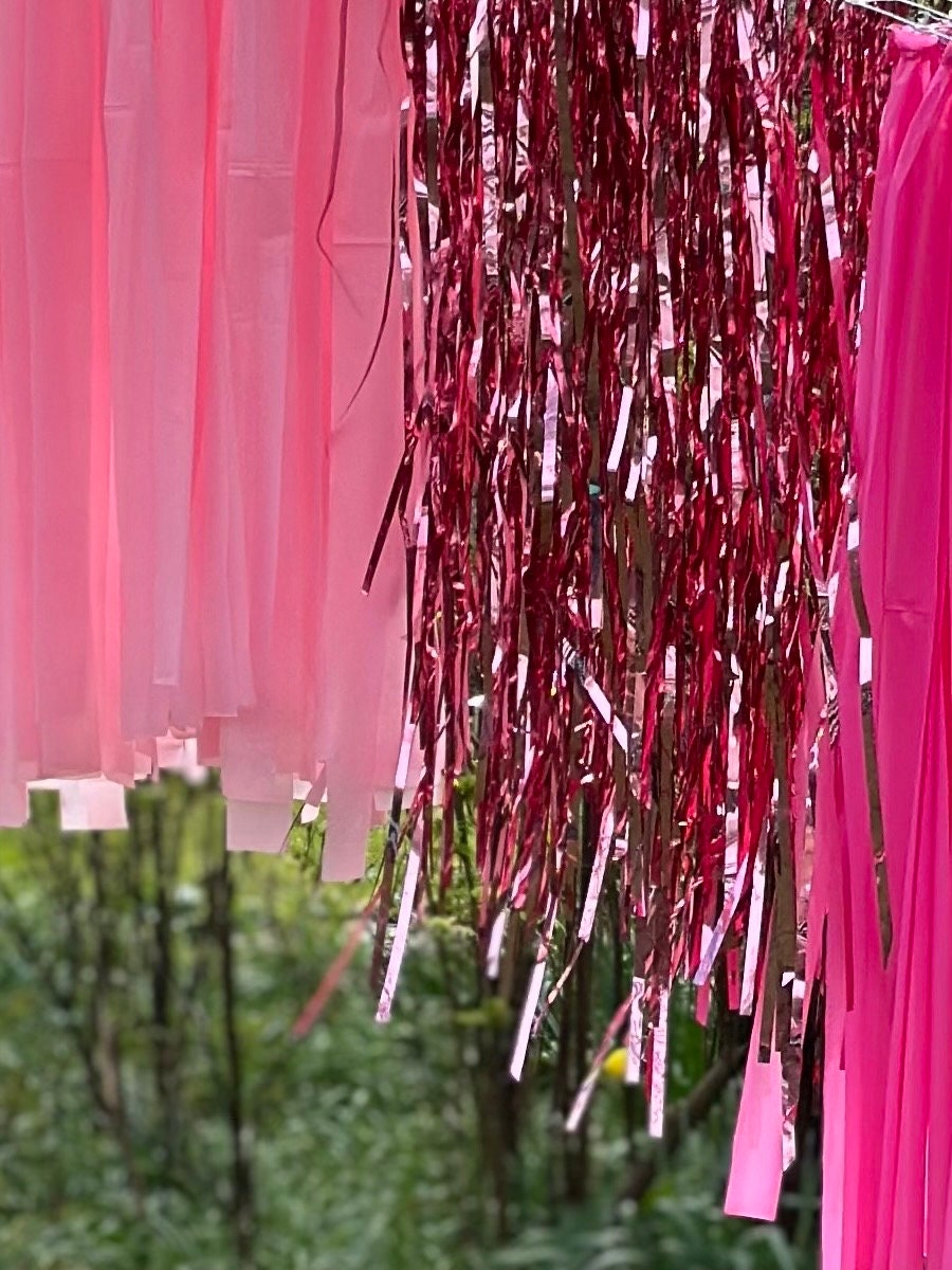 Streamer Fringe Garland - Etsy UK