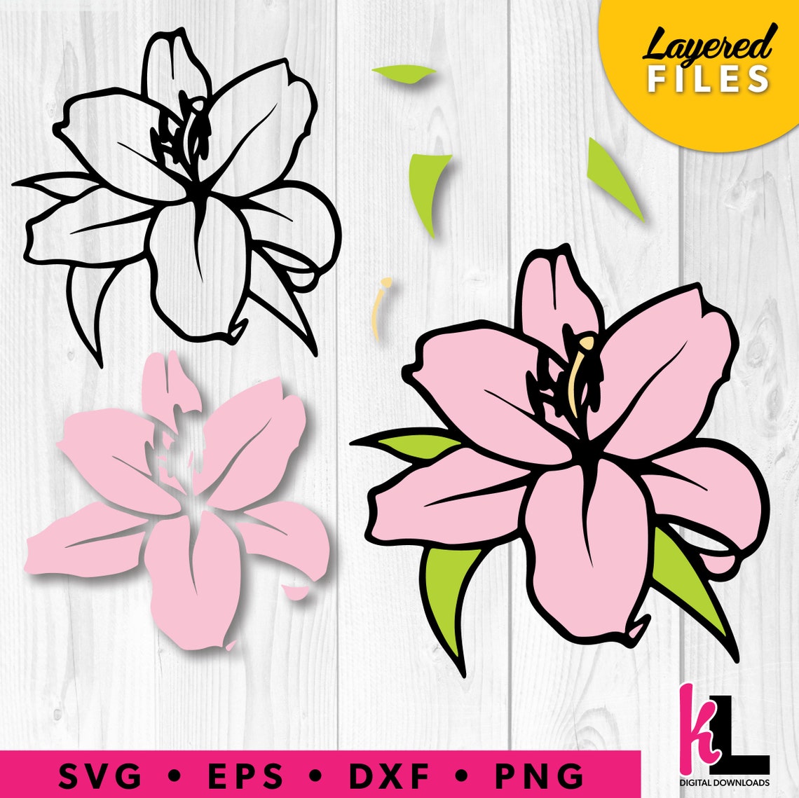 Lily Flower SVG Bundle Layered Cut Files Lily SVG Wedding | Etsy