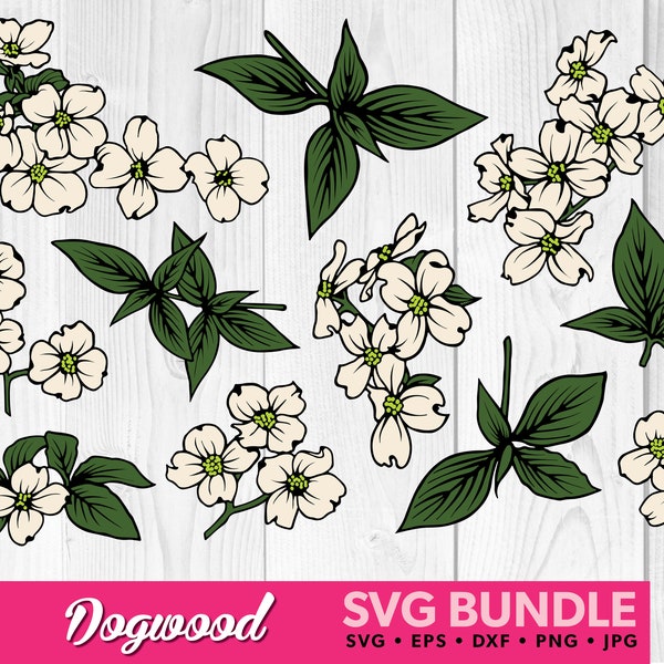 Dogwood Flowers - Etsy