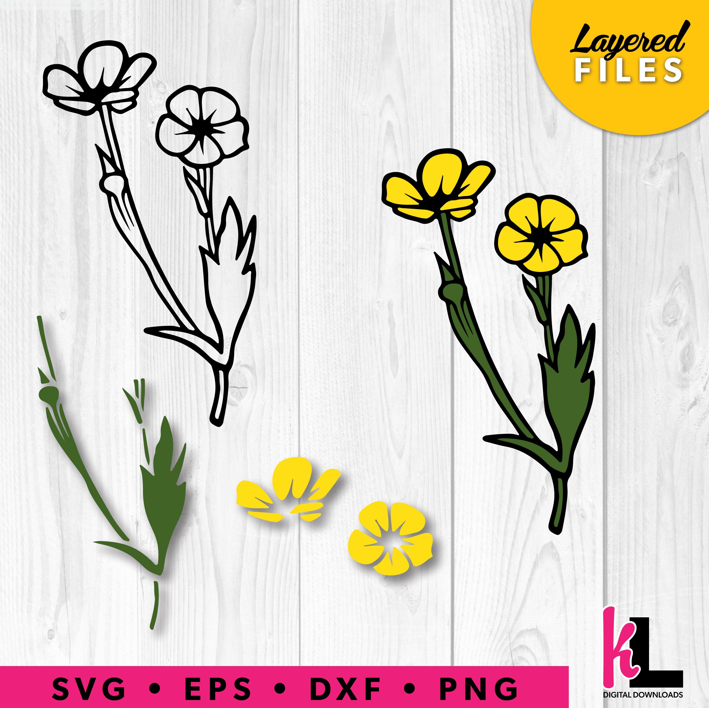 Buttercup Flower SVG Layered Floral SVG Bundle Wildflower | Etsy