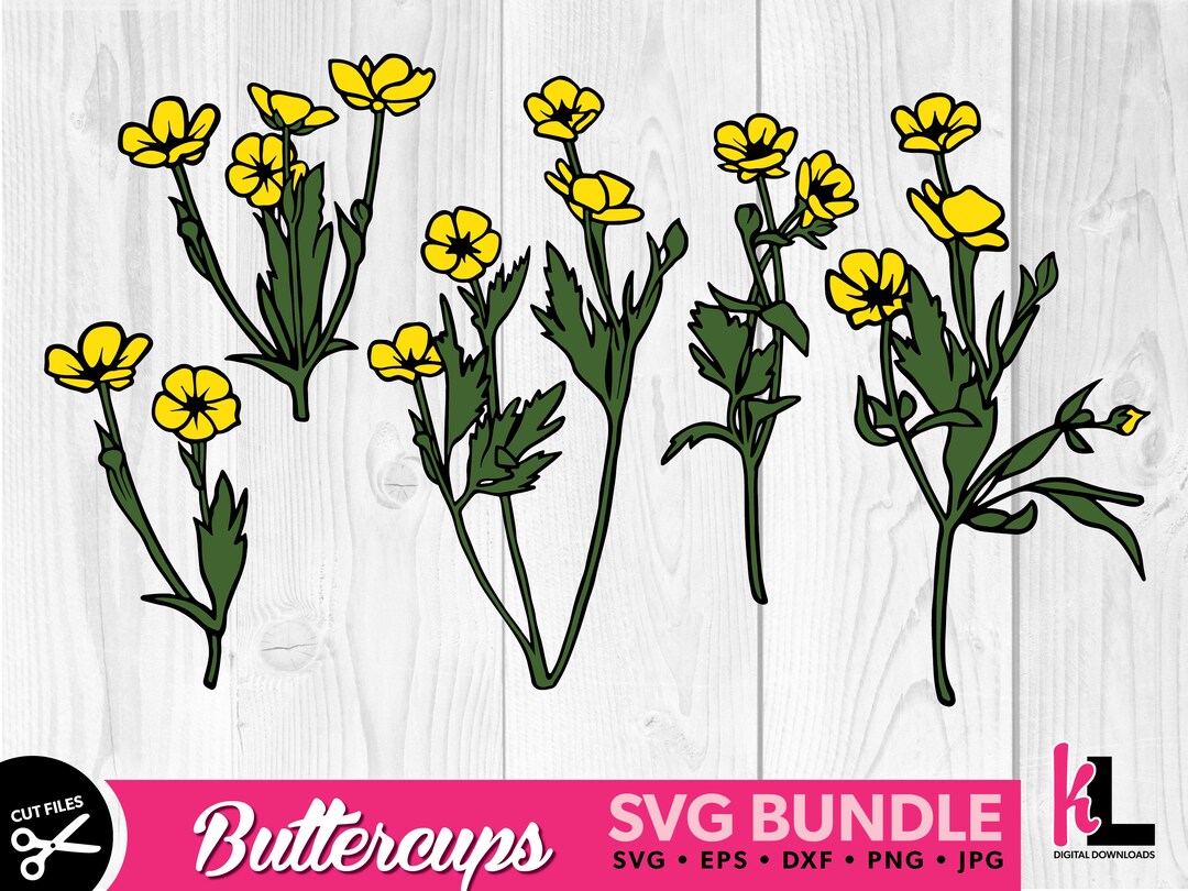 Buttercup Flower SVG, Layered Floral SVG Bundle, Wildflower SVG, Flower ...