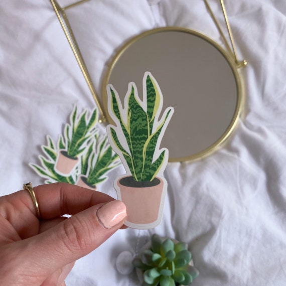 Snake Plant Sticker Waterproof Vinyl Sticker | Etsy