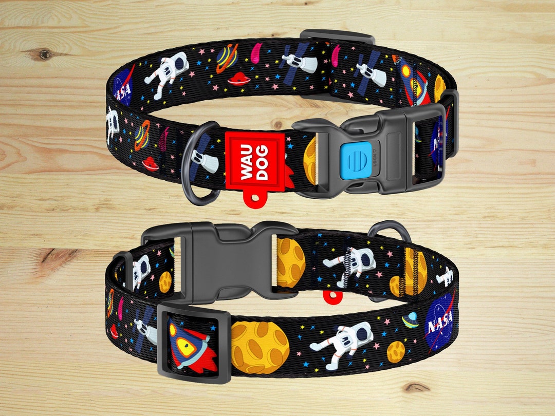 Nylon Dog Collar, Bright Stylish Colorful Dog Collars, Pattern Dog ...