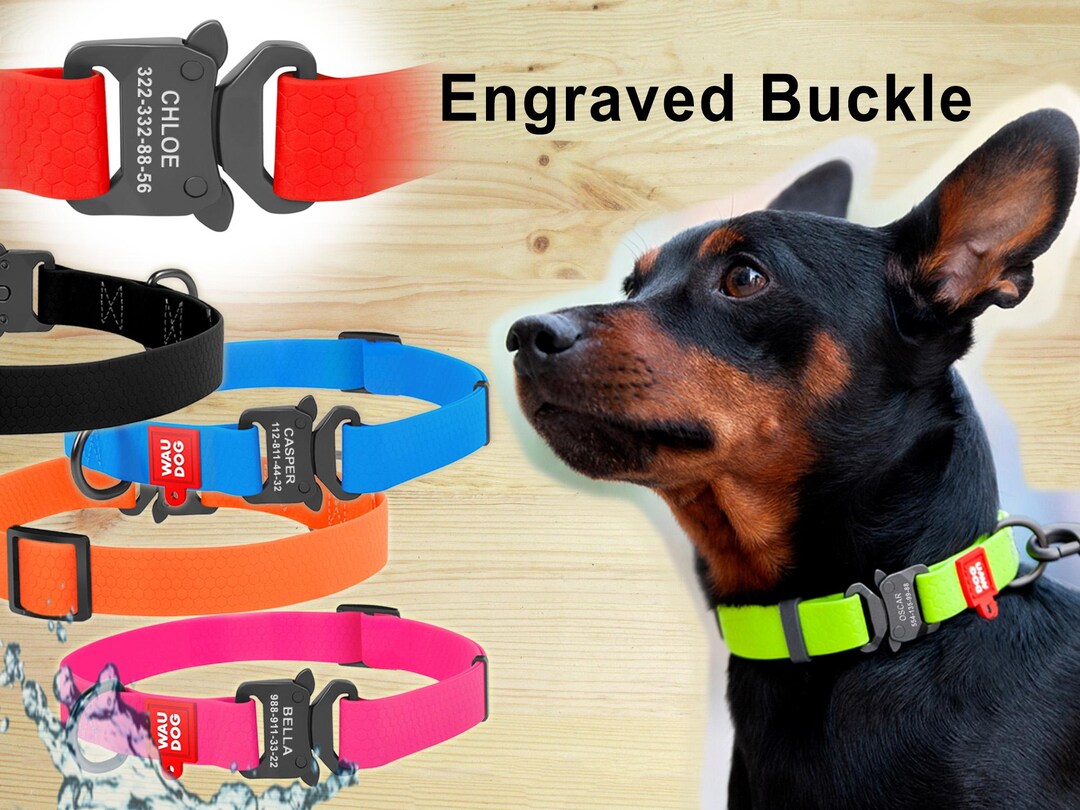 Waterproof Dog Collar, Durable Pet Collars With Metall Bucke, Collars ...