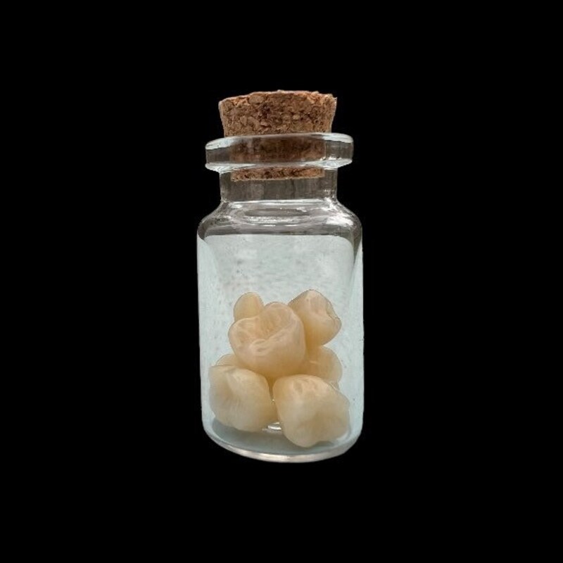 Fake Human Teeth - Etsy