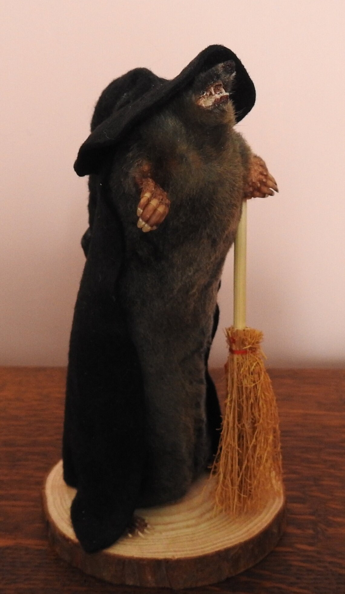 Vintage Taxidermy Wizard Mole - Etsy