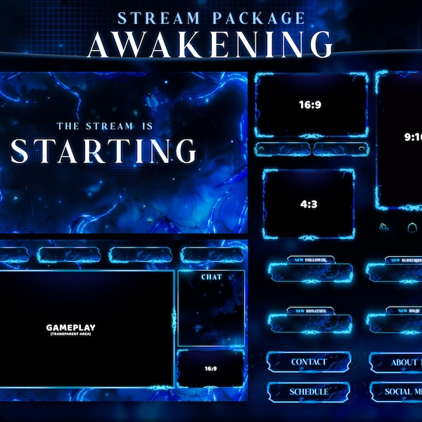 Solo Leveling Stream Overlay - Etsy