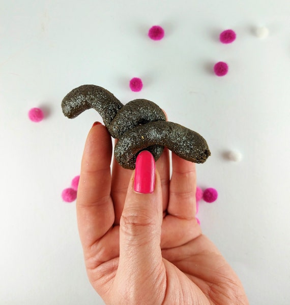 Ornement de vrai caca pour la chance être heureux et avoir un - Etsy France