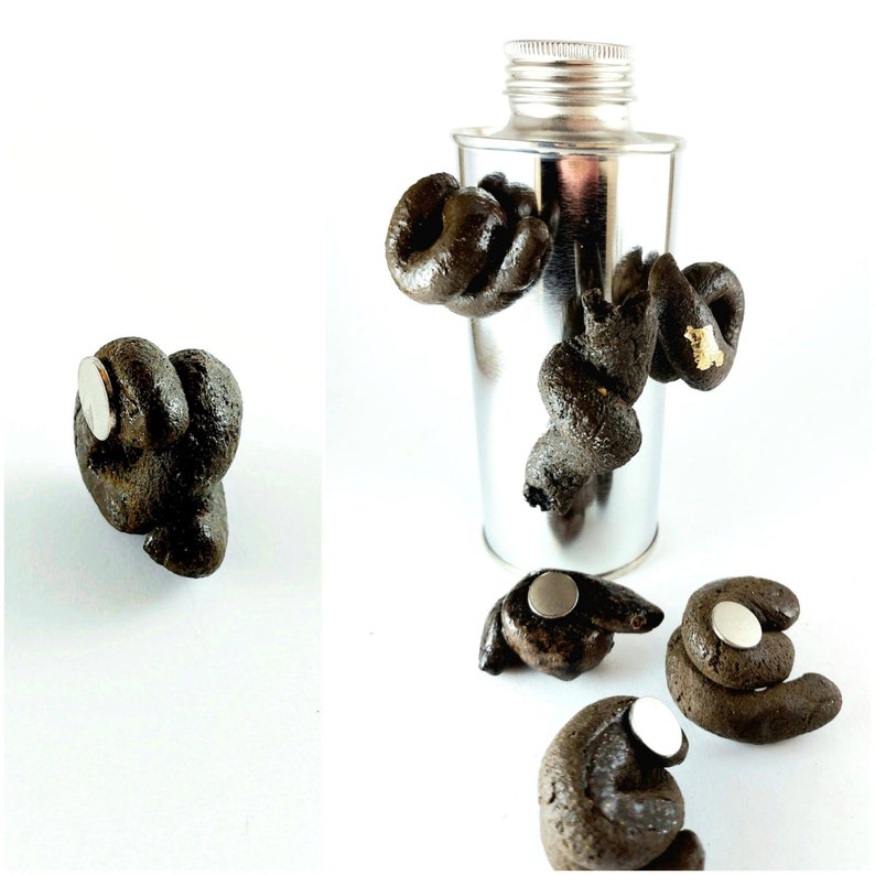 Real Poop Magnet Brings Good Luck Must Have Funny Fun Gift - Etsy