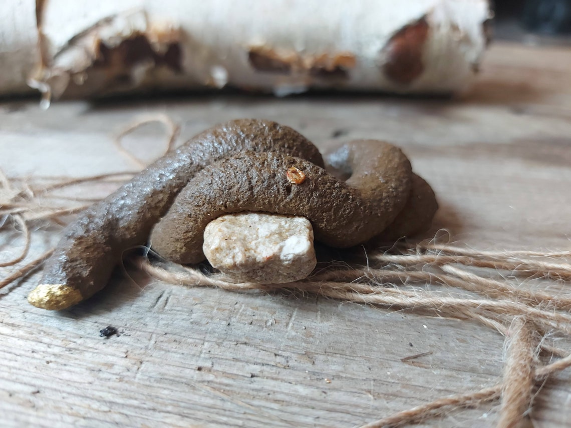 Poop From Real Poop for Good Luck and Good Day Unique Gift for ...