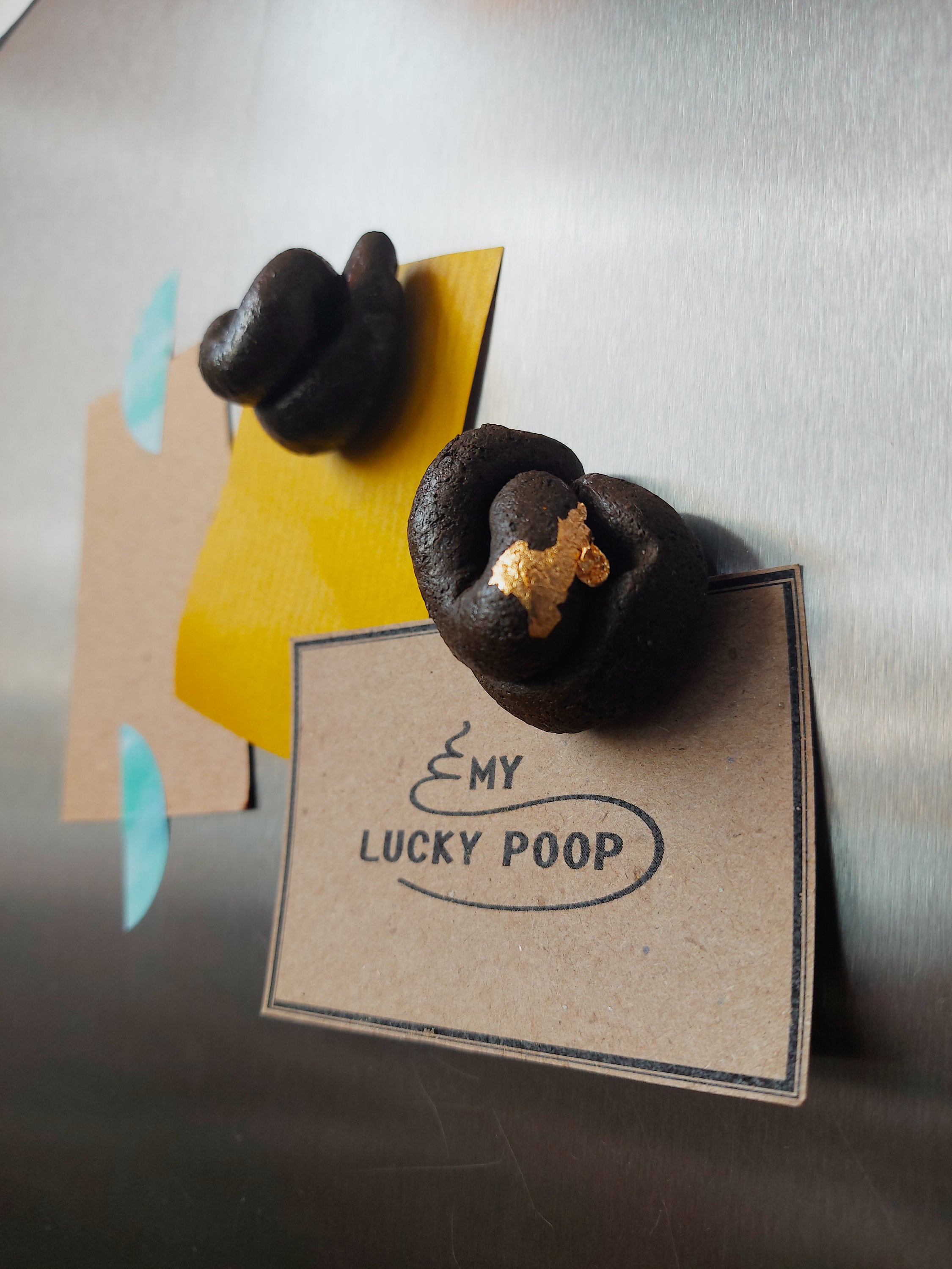Real Poop Magnet Brings Good Luck, Must Have Funny Fun Gift for ...