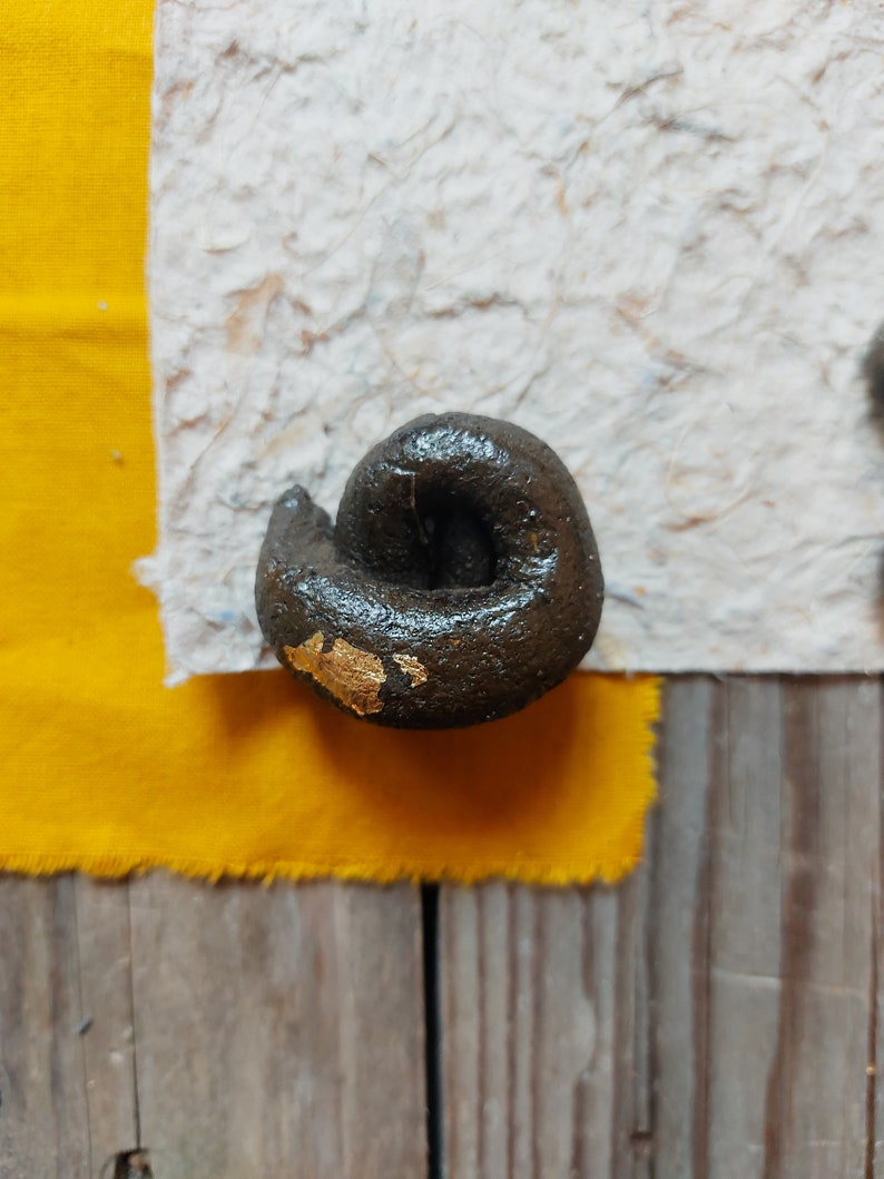 Real Poop Magnet Brings Good Luck Must Have Funny Fun Gift - Etsy