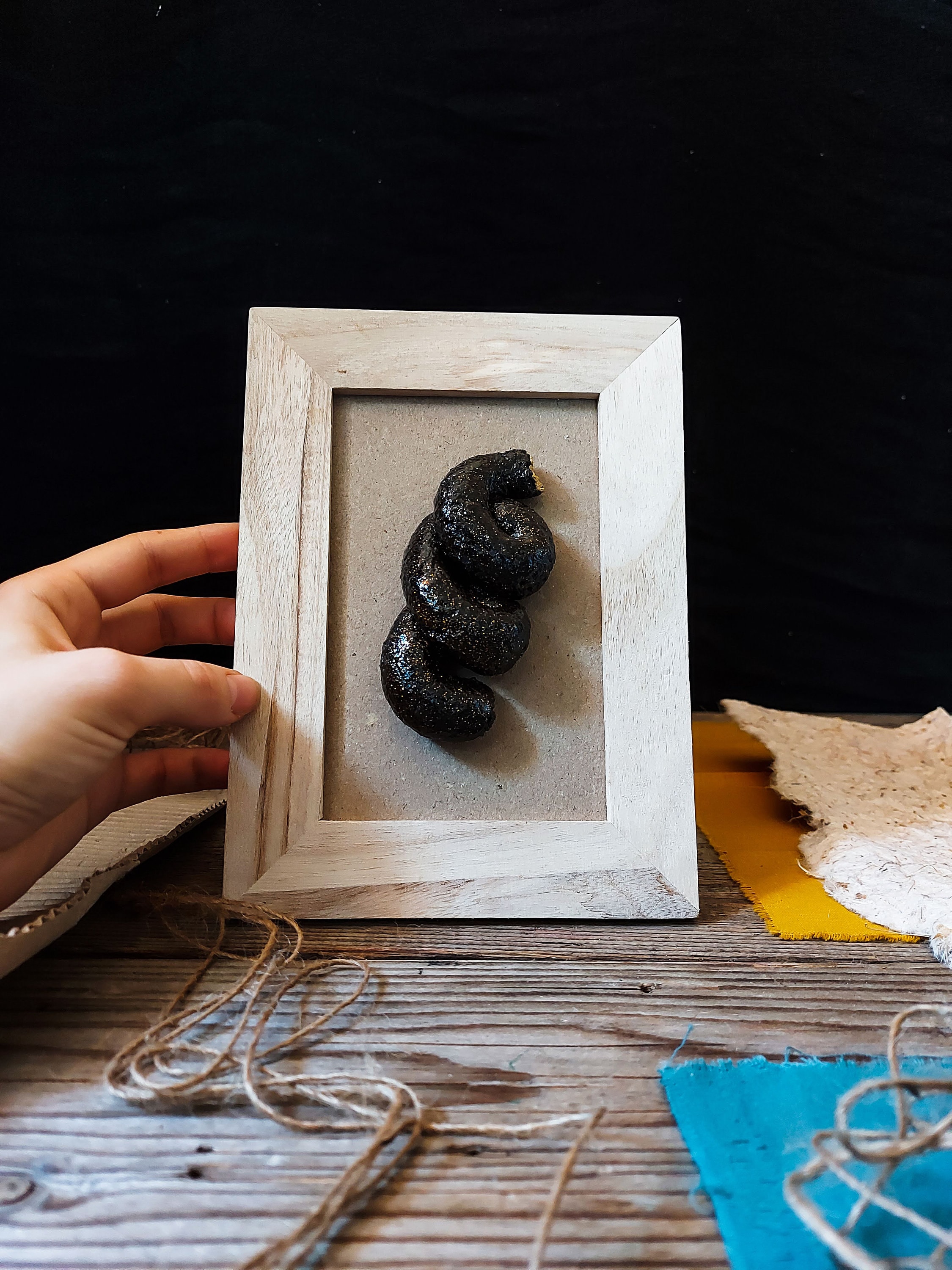 Poop Made From Real Poop on a Frame for Good Luck Crazy Bizarre Art ...