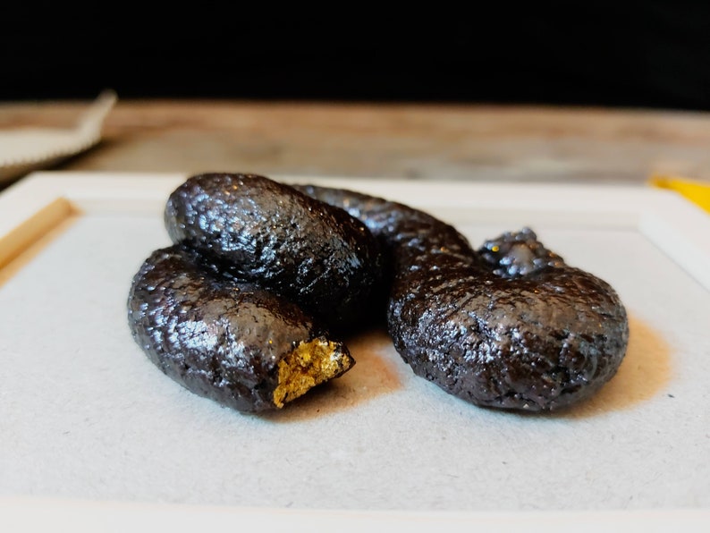 Real Poop Made by Hand on a Frame for Good Luck Crazy Art Silly Picture ...