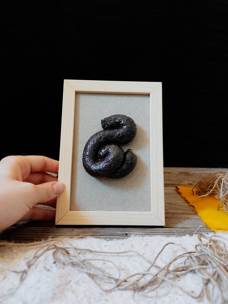 Real Poop Made by Hand on a Frame for Good Luck Crazy Art Silly Picture ...