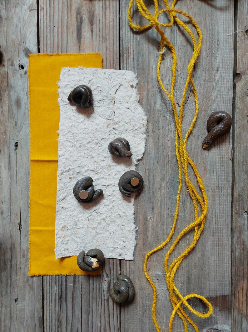 Real Poop Magnet Brings Good Luck, Must Have Funny Fun Gift for ...