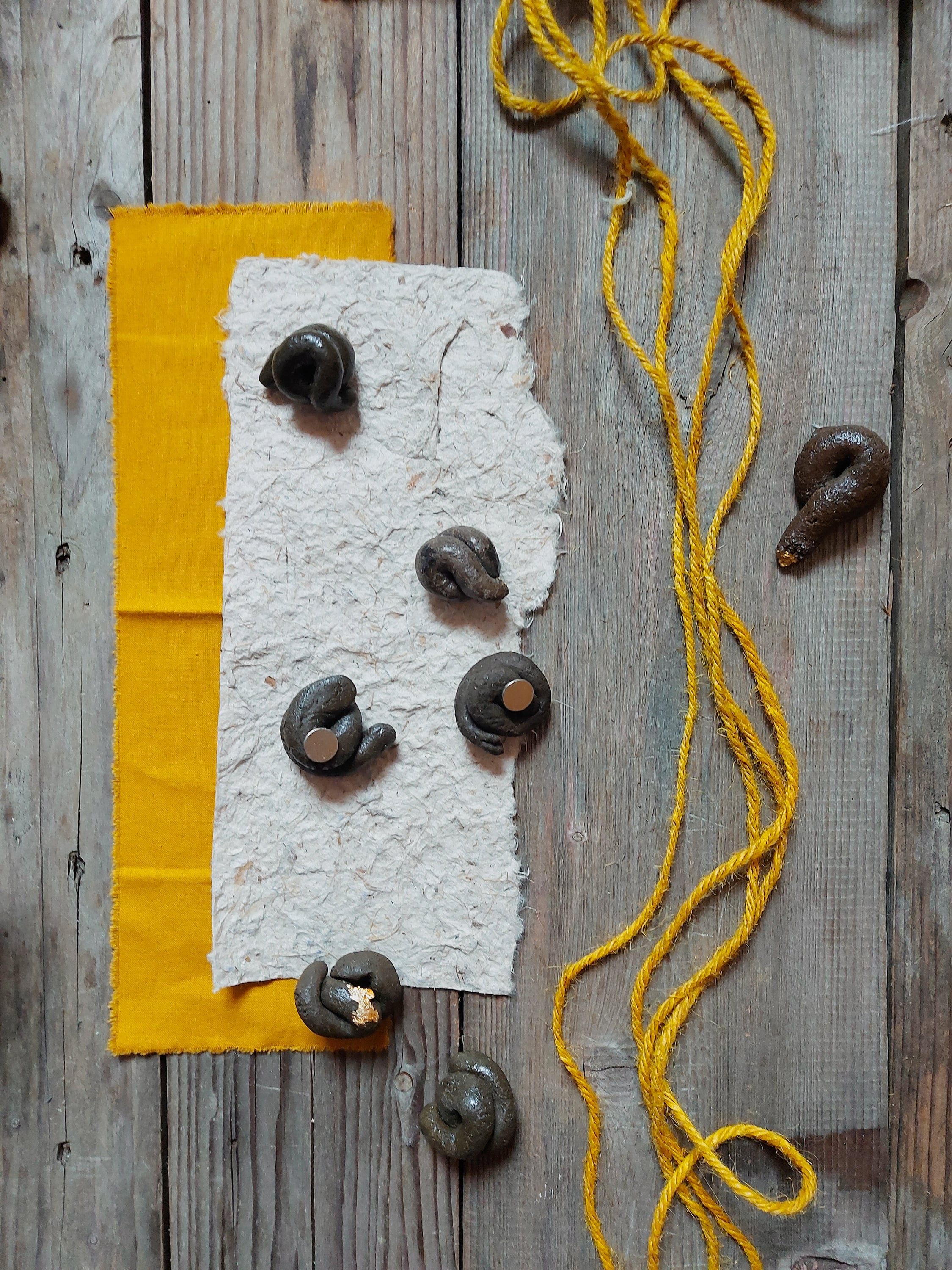 Real Poop Magnet Brings Good Luck, Must Have Funny Fun Gift for ...