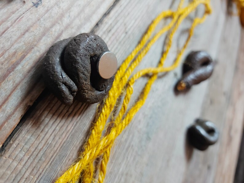 Real Poop Magnet Brings Good Luck, Must Have Funny Fun Gift for ...