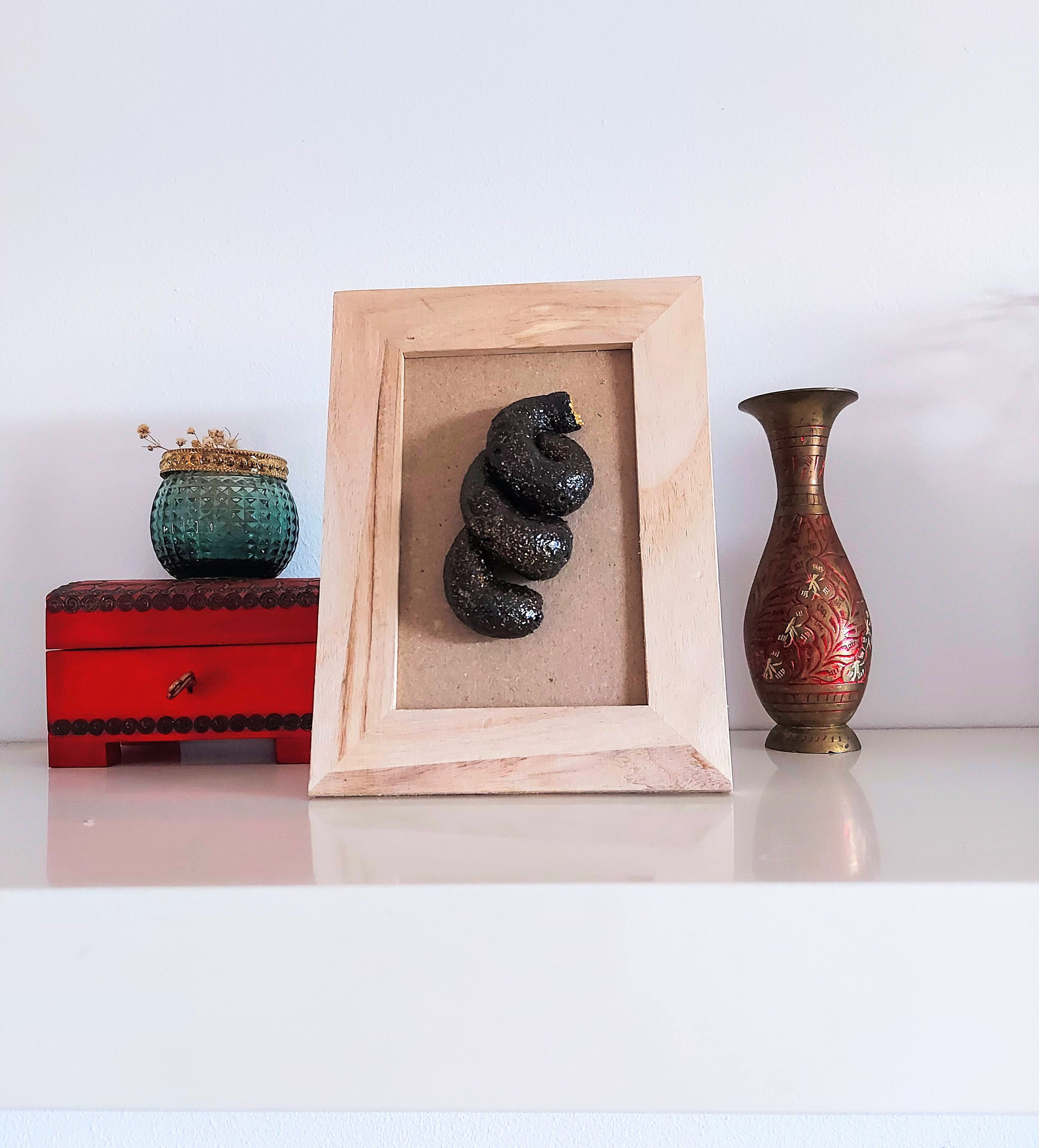 Poop Made From Real Poop on a Frame for Good Luck Crazy Bizarre Art ...