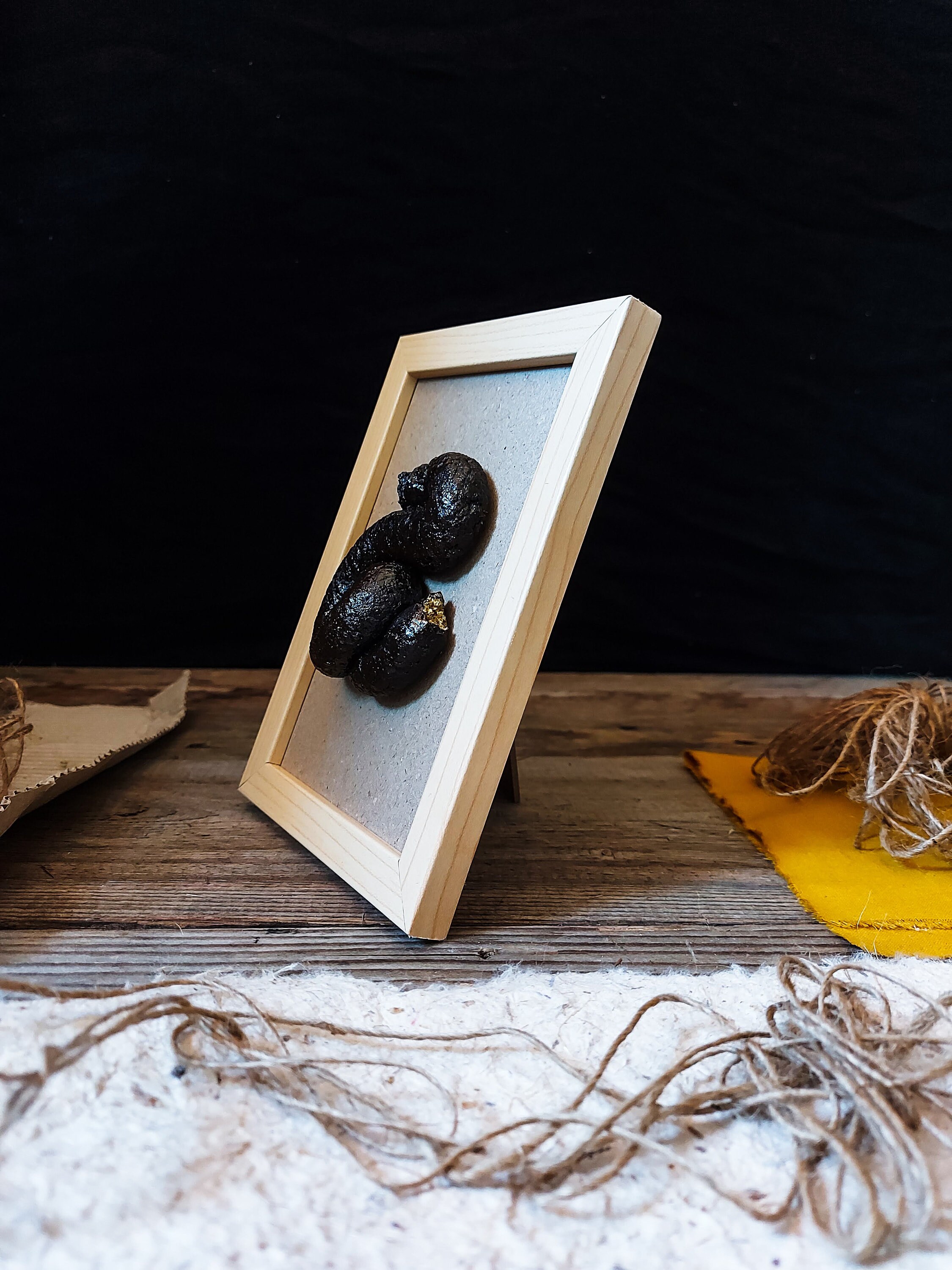 Real Poop Made by Hand on a Frame for Good Luck Crazy Art Silly Picture ...