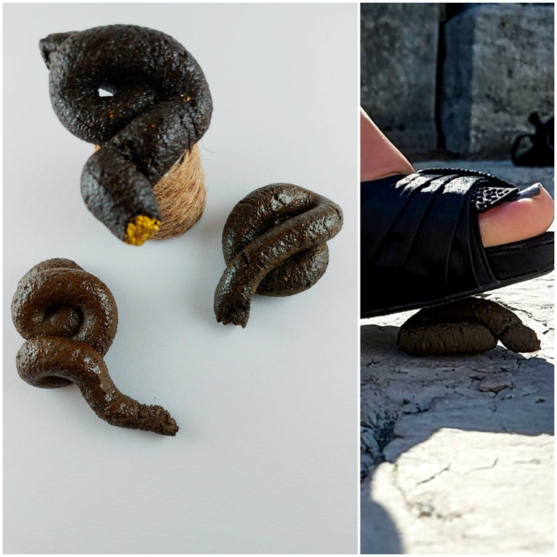 Poop From Real Poop for Good Luck and Good Day Unique Gift for ...