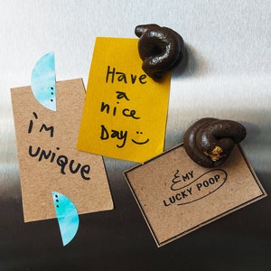 Real Poop Magnet Brings Good Luck, Must Have Funny Fun Gift for ...