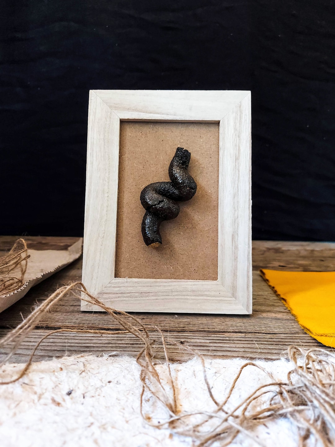 Real Poop on a Stand for Good Luck, Crazy Unusual Art Gift for Hippie ...